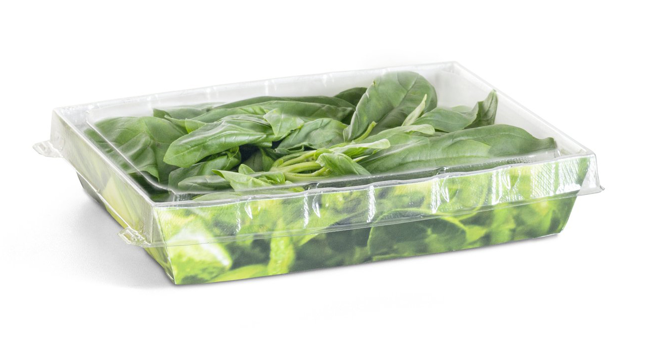 HiPack_Multifood_Verpackungskonzept_zugeschnitten - packaging journal