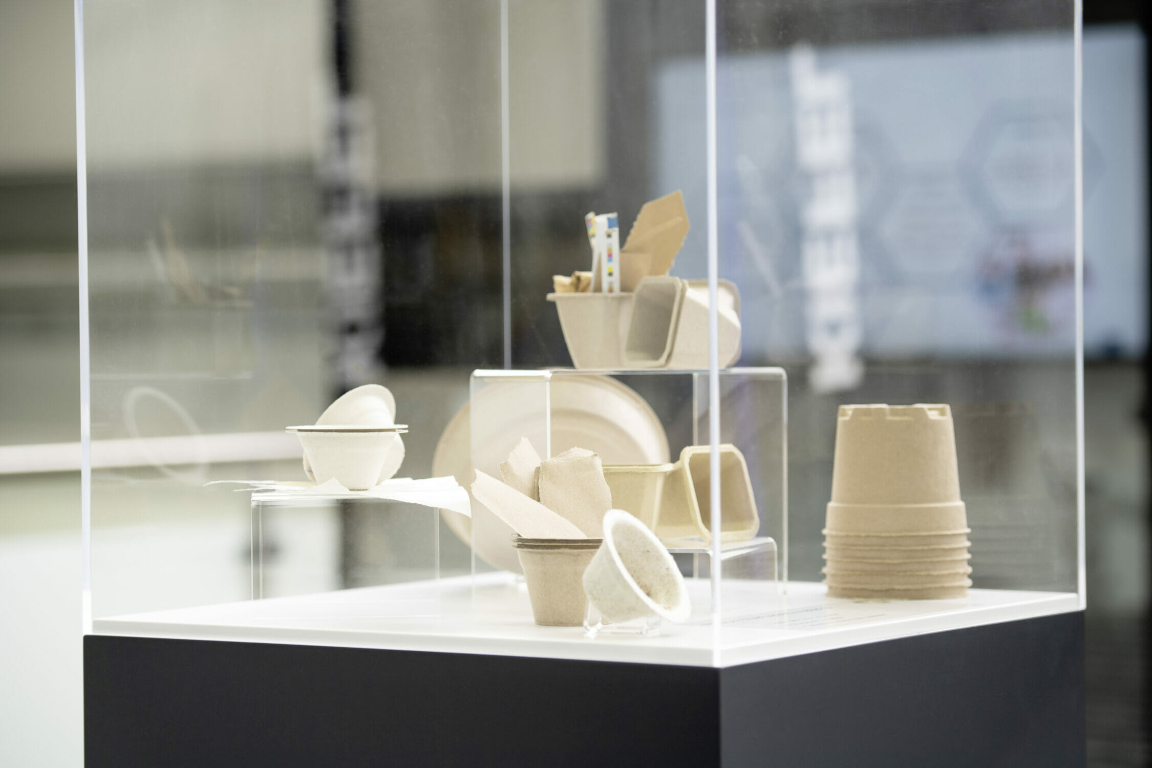 FP Kiefel Fiber Packaging Products - packaging journal