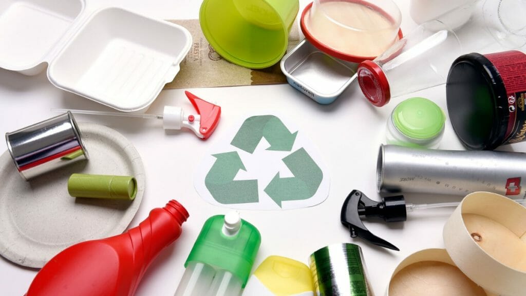 PackMit fördert biobasierte Verpackungskonzepte - packaging journal