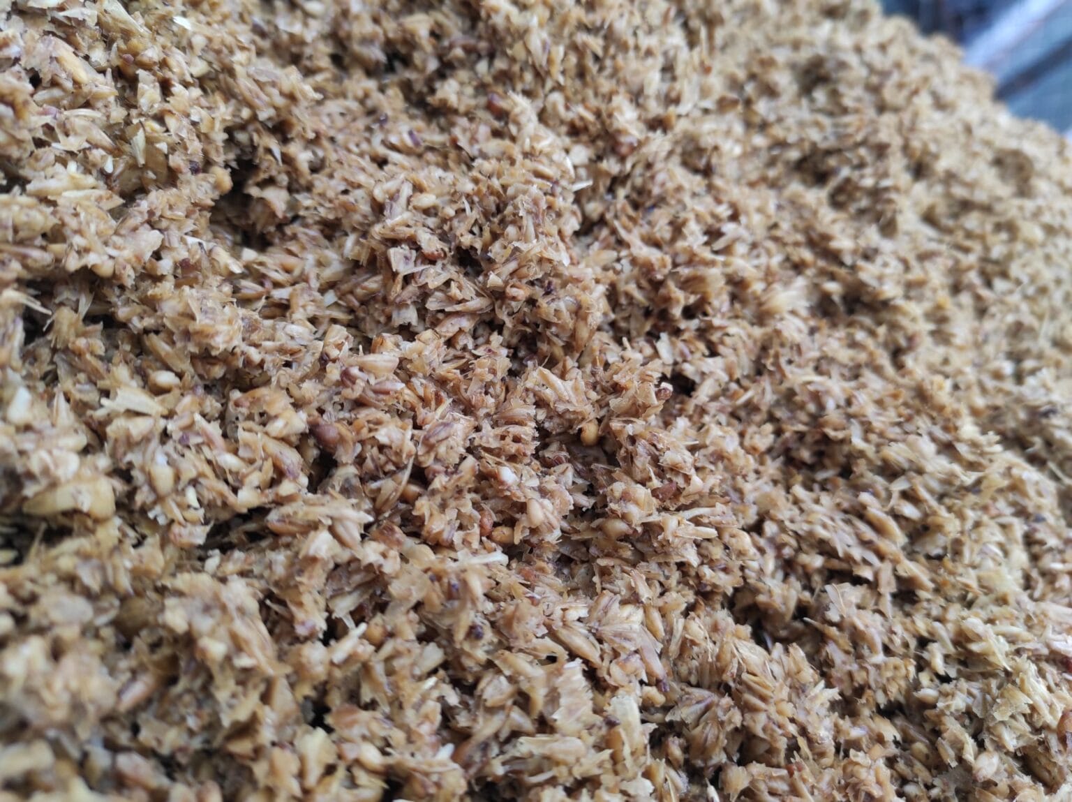 Bio-based packaging from brewery waste - packaging journal